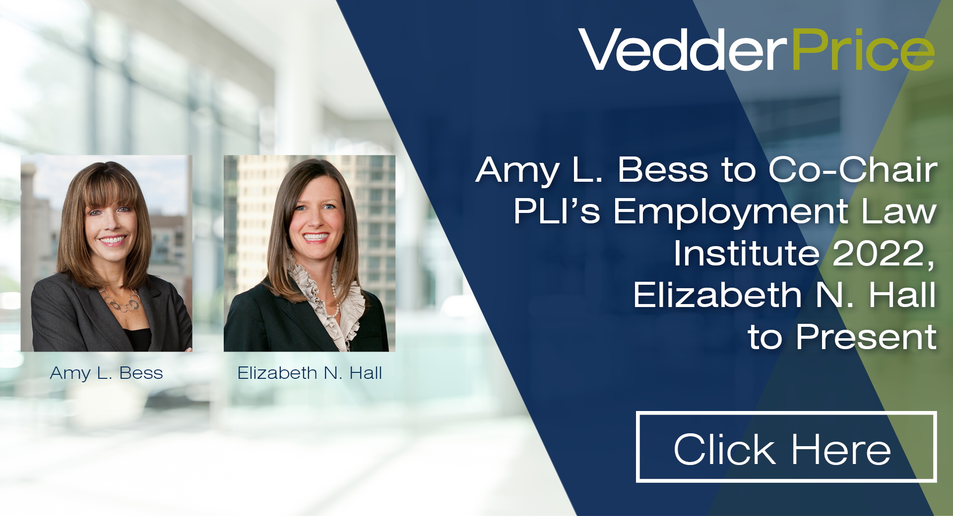 Amy L. Bess to Co-Chair PLI’s Employment Law Institute 2022, Elizabeth ...