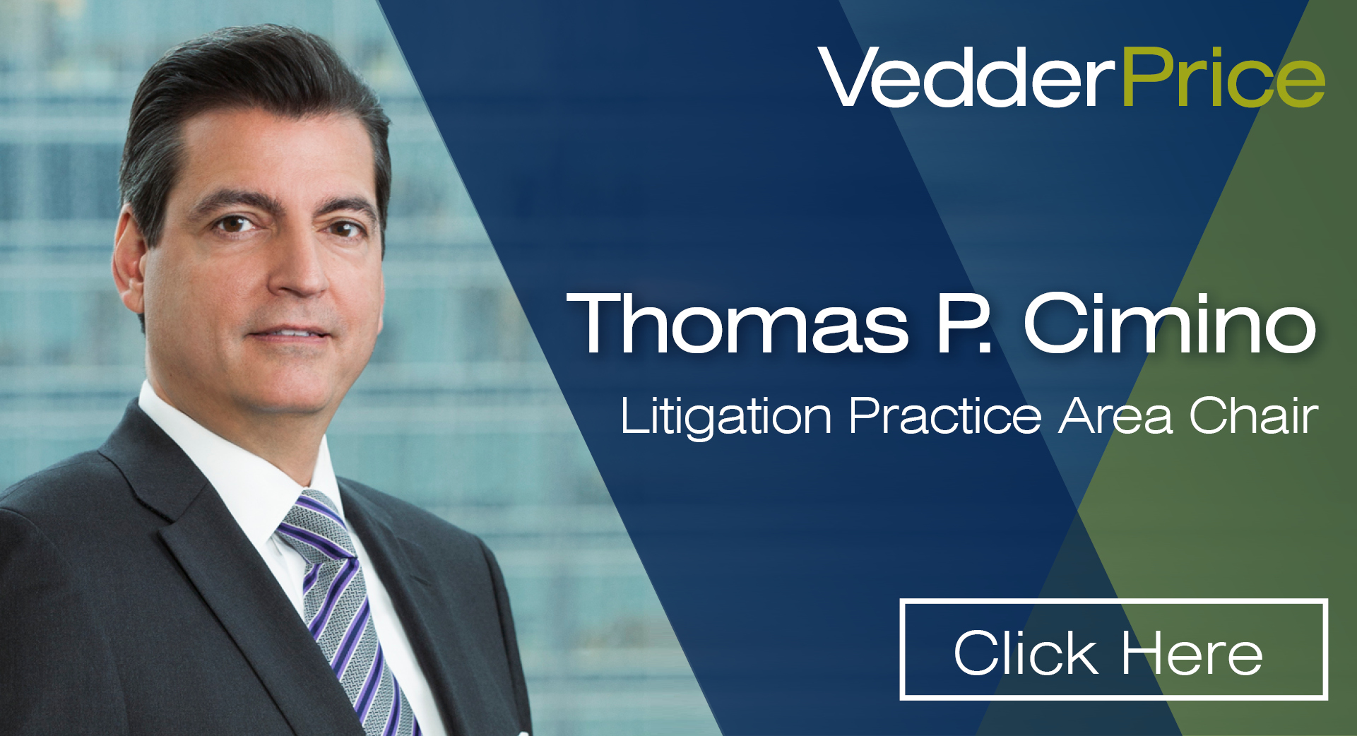 Thomas P. Cimino, Jr. Elected Litigation Practice Area Chair | News ...