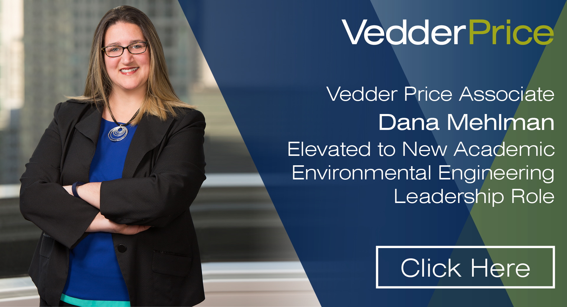 Vedder Price Associate Dana Mehlman Elevated to New Academic ...